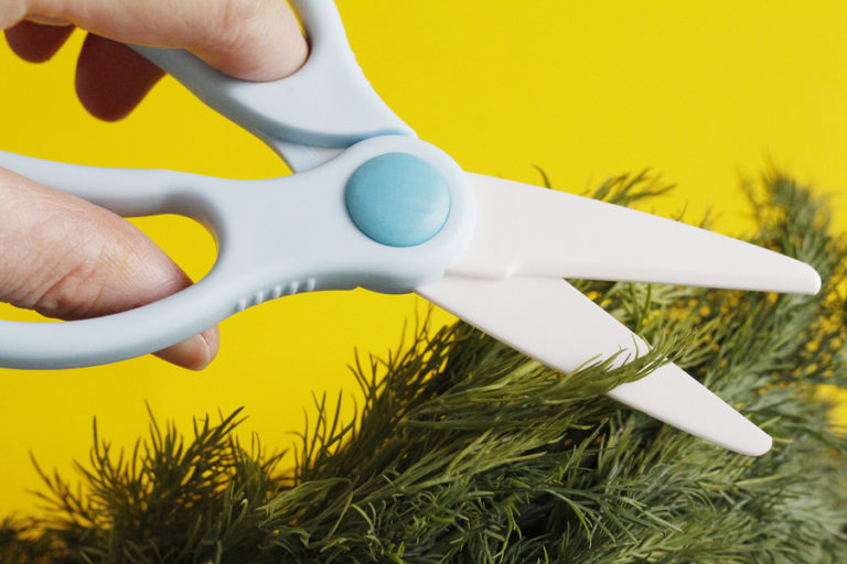 Topping vs Fimming Cannabis Plants - Max's Indoor Grow Shop Topping vs ...